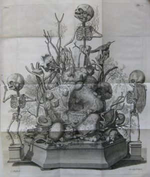 2012 October Frederik Ruysch – Edward Worth Library