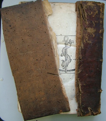 Battered Books – Edward Worth Library