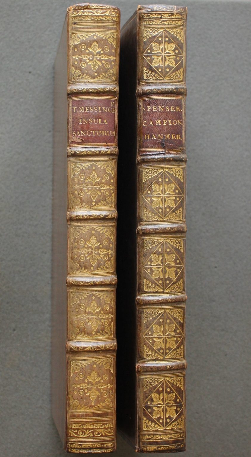 Early Medieval Ireland – Edward Worth Library