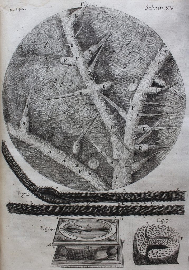 2024 September Micrographia (London, 1667) by Robert Hooke. – Edward ...